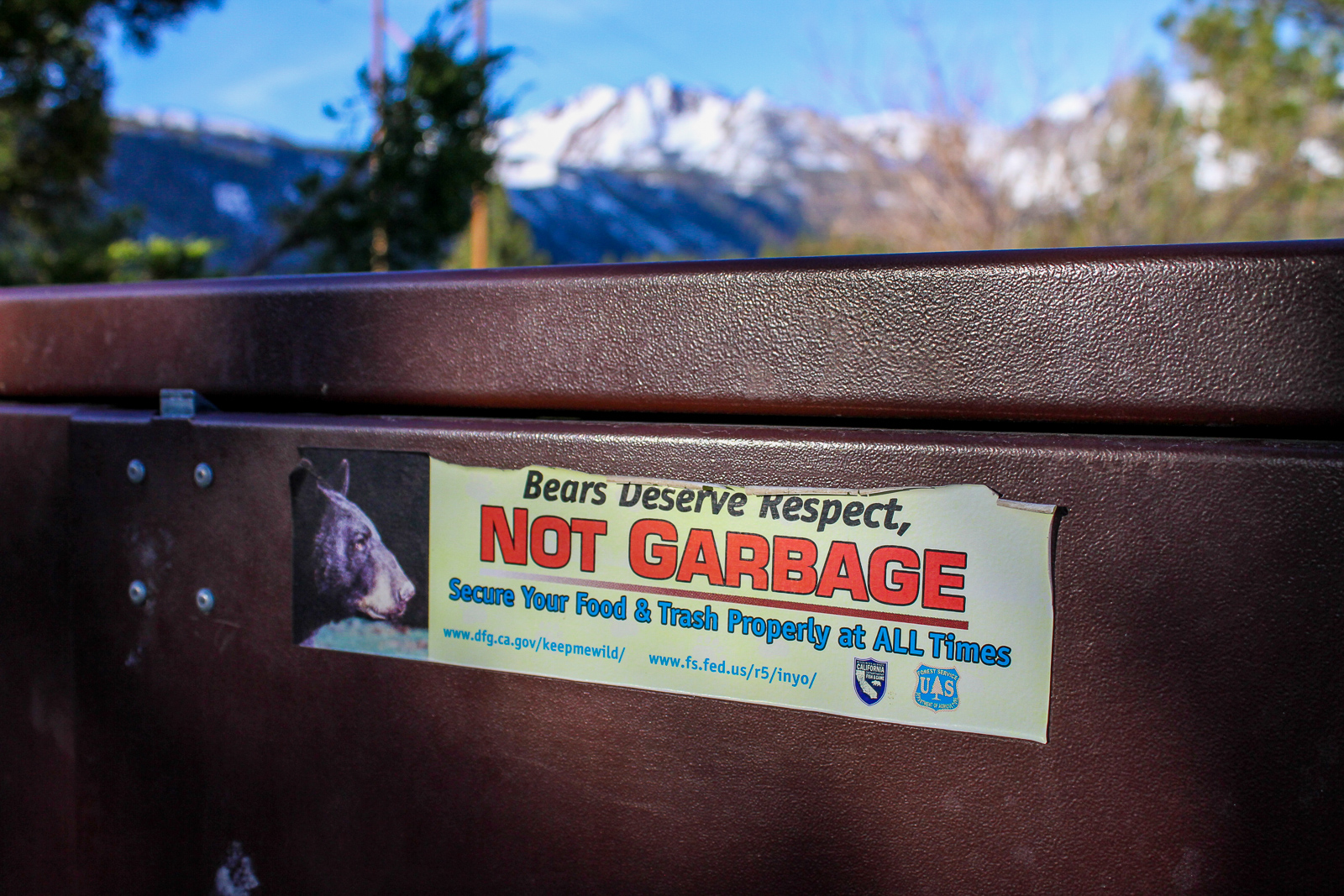 Bear-Proofing for the Backcountry - Danger Ranger Bear