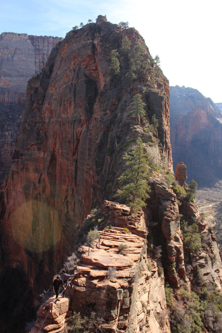 Zion National Park - Danger Ranger Bear